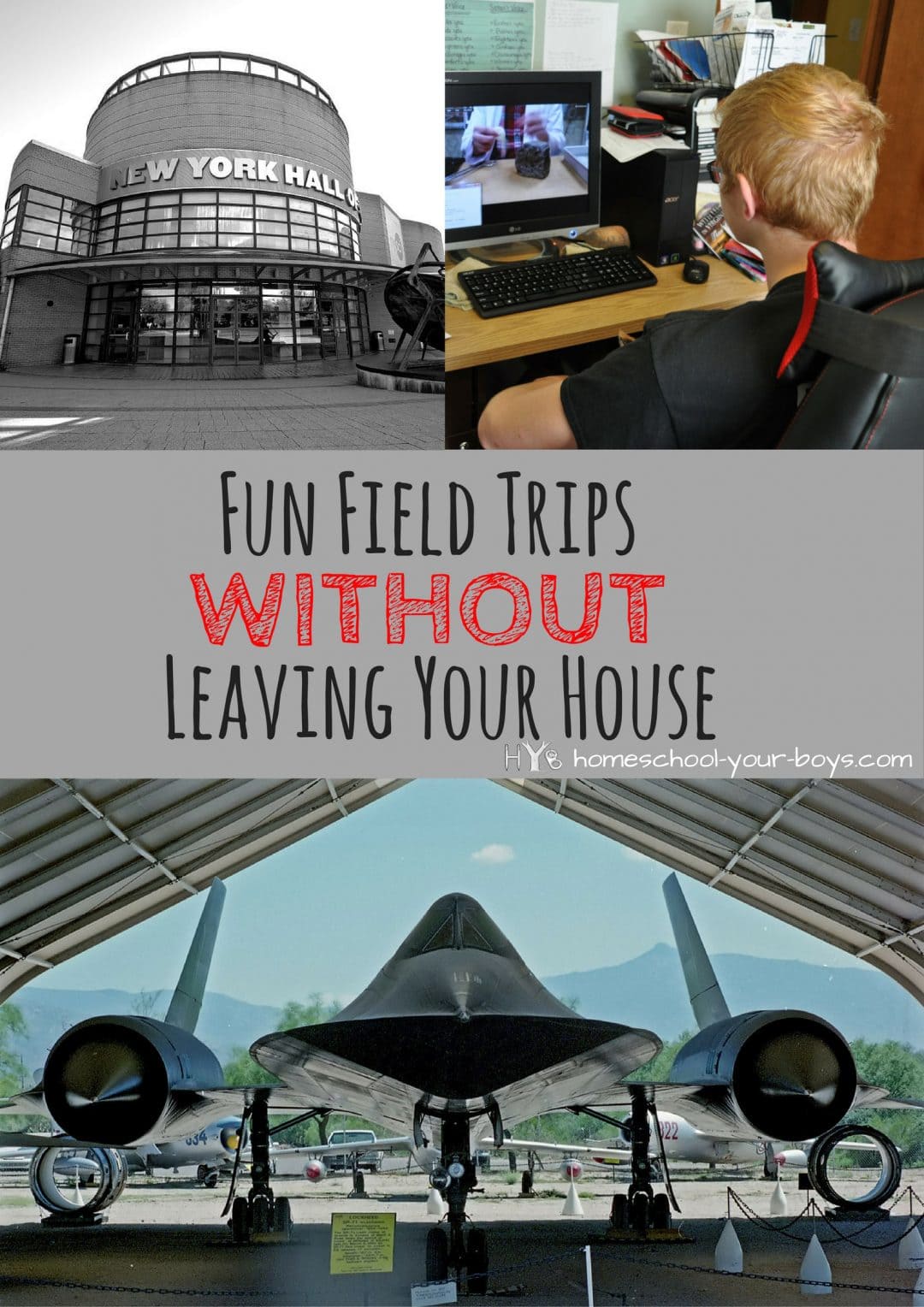 Fun Field Trips Without Leaving Your House – Homeschool Your Boys