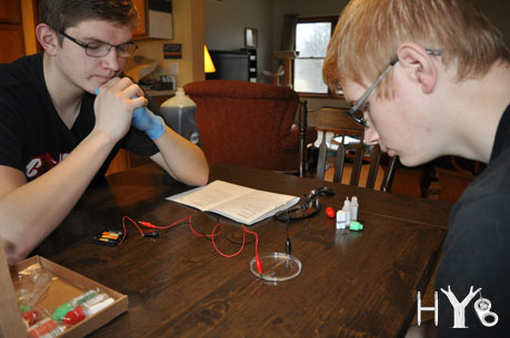 Simple Hands-On Science Activities for Kids – Homeschool Your Boys