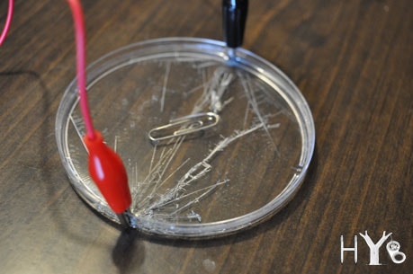 Simple Hands-On Science Activities for Kids – Homeschool Your Boys