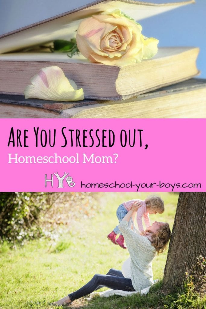 Are You Stressed Out, Homeschool Mom? - Homeschool Your Boys
