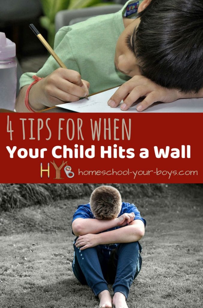 4 Tips for When Your Child Hits a Wall – Homeschool Your Boys