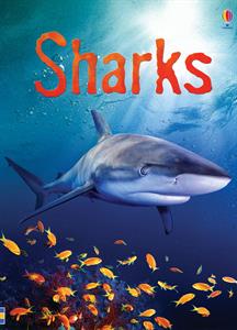 16 Shark Books, Activities, and Shows for Shark Week – Homeschool Your Boys