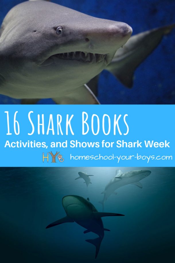 16 Shark Books, Activities, and Shows for Shark Week – Homeschool Your Boys
