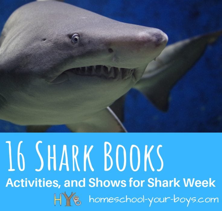 16 Shark Books, Activities, and Shows for Shark Week – Homeschool Your Boys