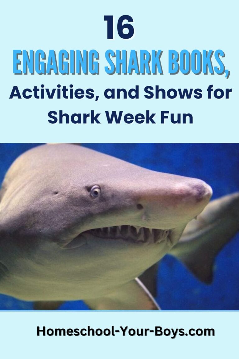 16 Engaging Shark Books, Activities, and Shows for Shark Week Fun ...