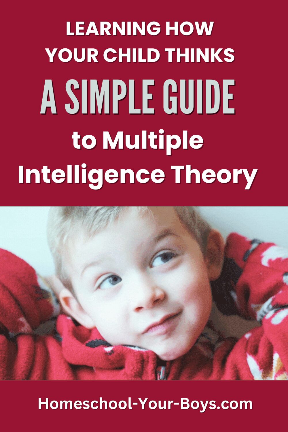 Learning How Your Child Thinks: A Simple Guide to Multiple Intelligence ...